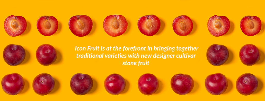 Icon Fruit - Stone Fruit Export Specialist | South Africa