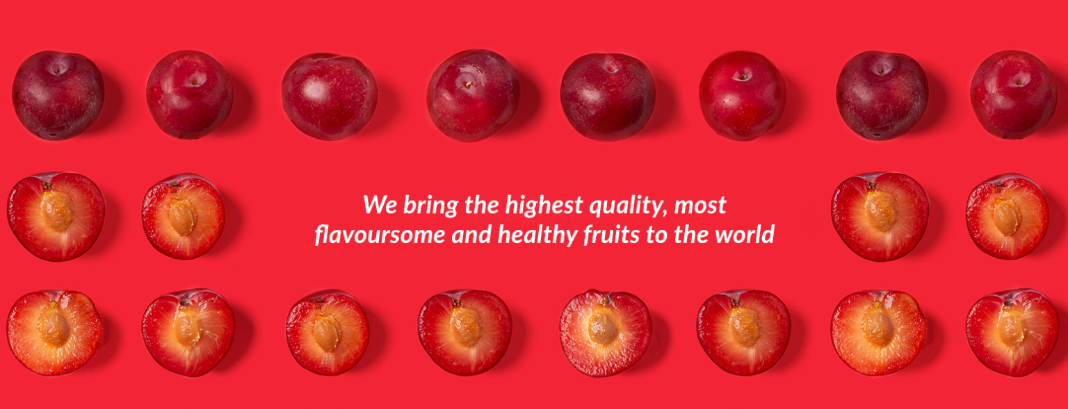 Icon Fruit - Stone Fruit Export Specialist | South Africa